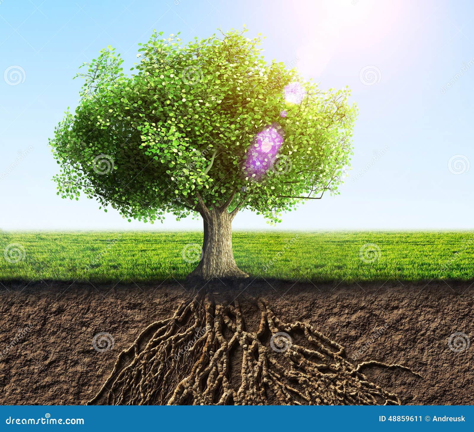 Árvore com raizes ilustração stock. Ilustração de crescimento - 48859611