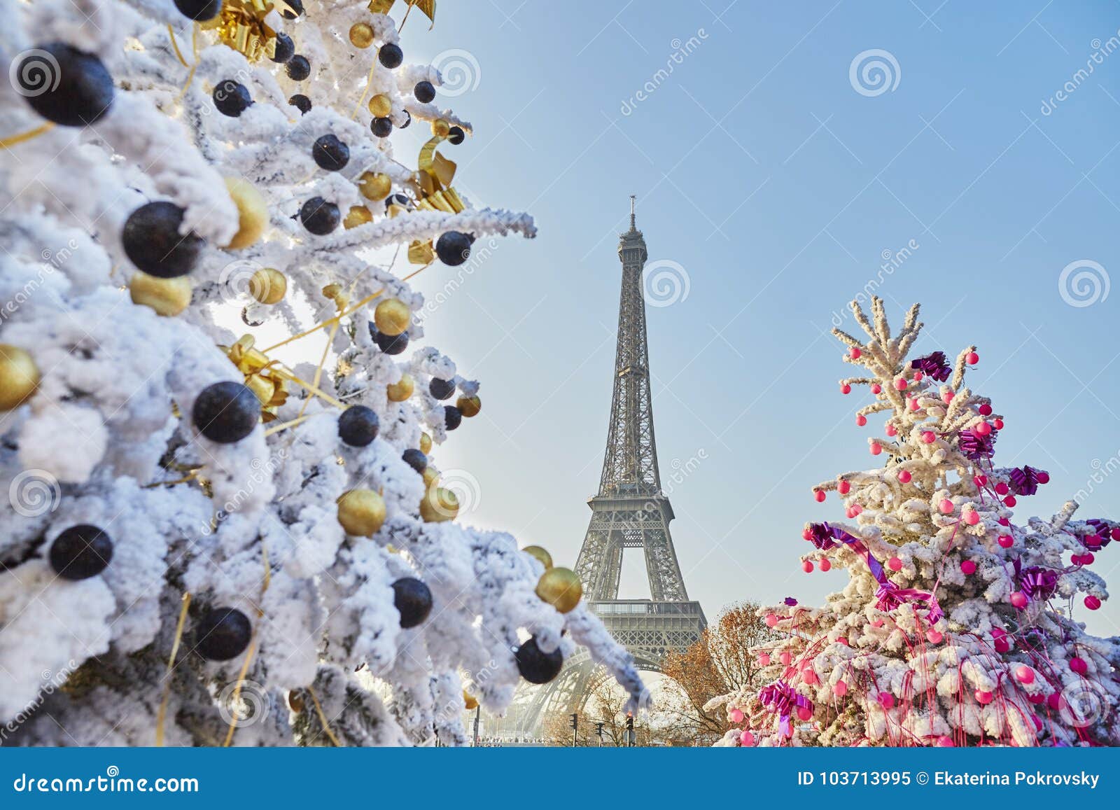Árvore De Natal Coberta Com a Neve Perto Da Torre Eiffel Em Paris ...