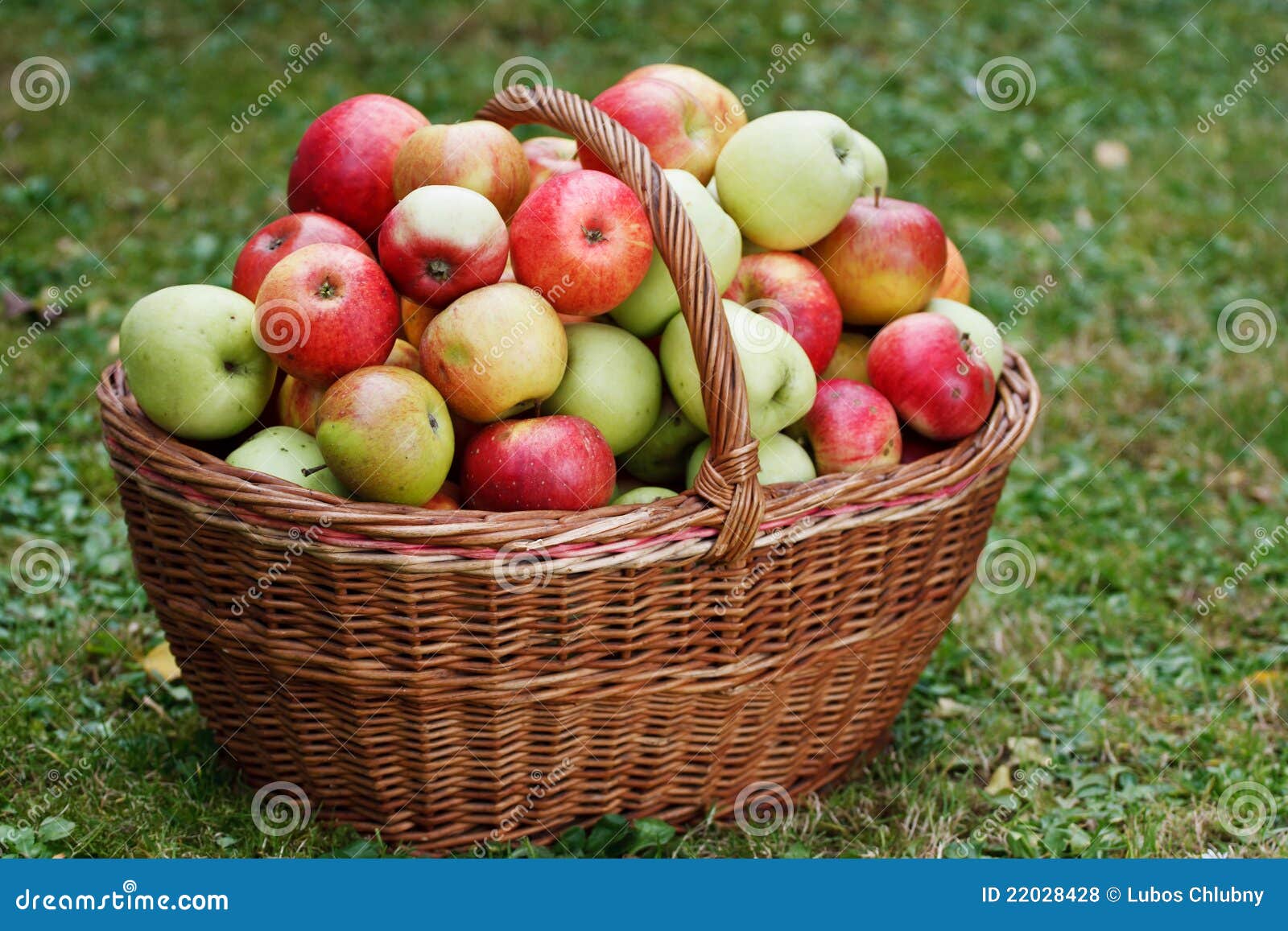 Äpfel im Korb stockfoto. Bild von ernte, korb, farben - 22028428