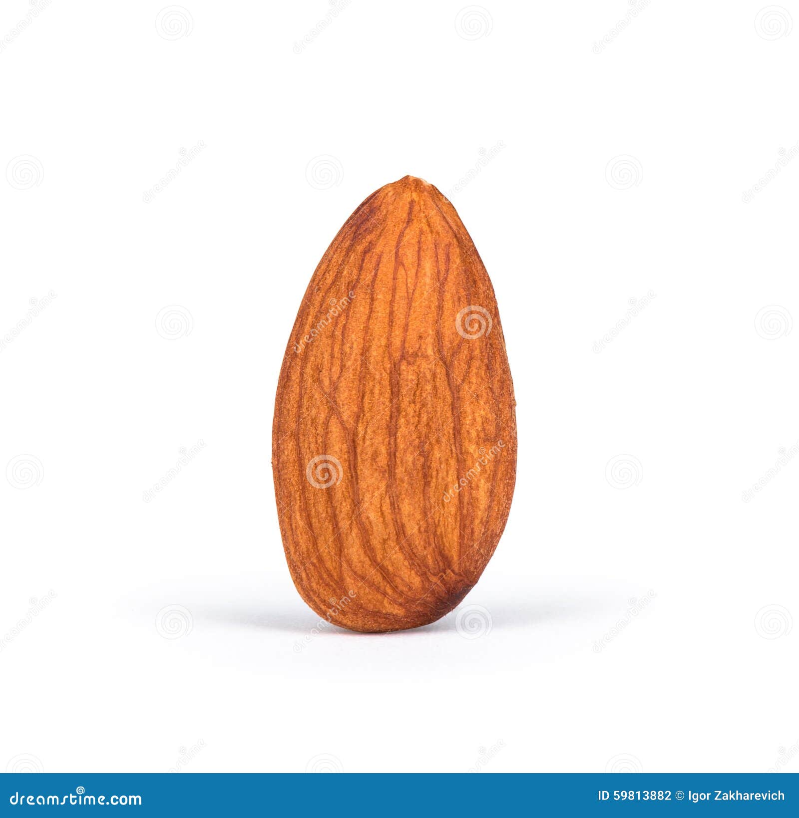 Één amandel stock foto. Image of vers, geïsoleerd, ingrediënt - 59813882
