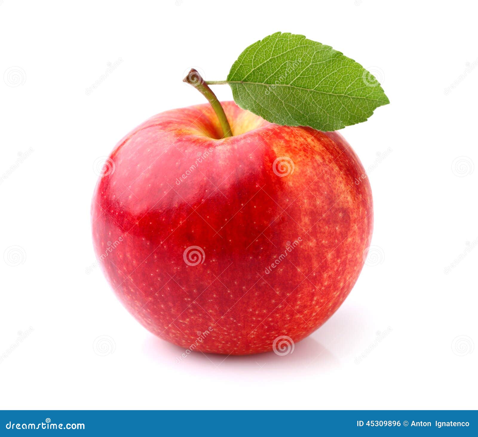 Één appel stock foto. Image of voedsel, sappig, vrucht - 45309896