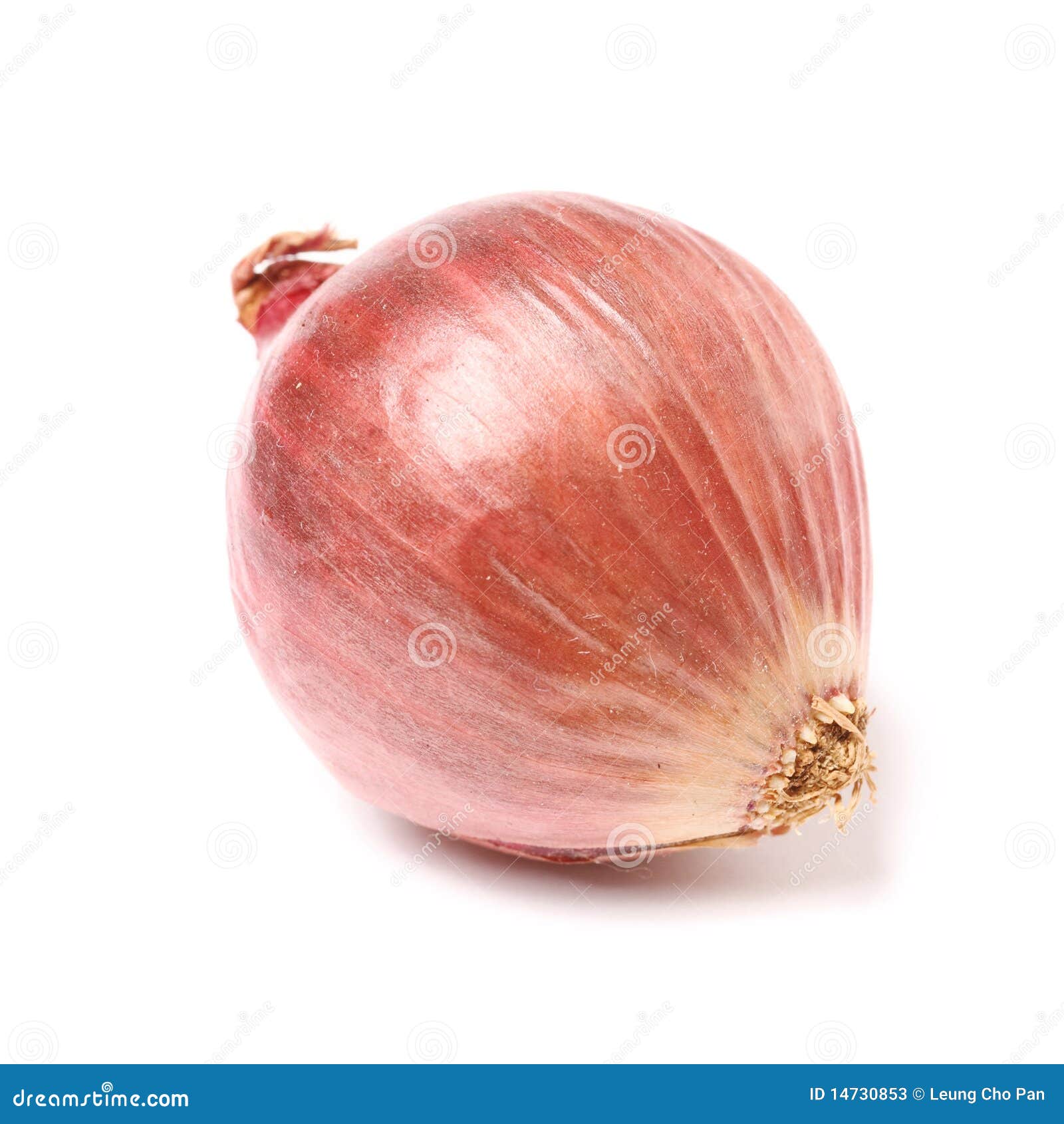 Échalote image stock. Image du pourpré, frais, nature - 14730853