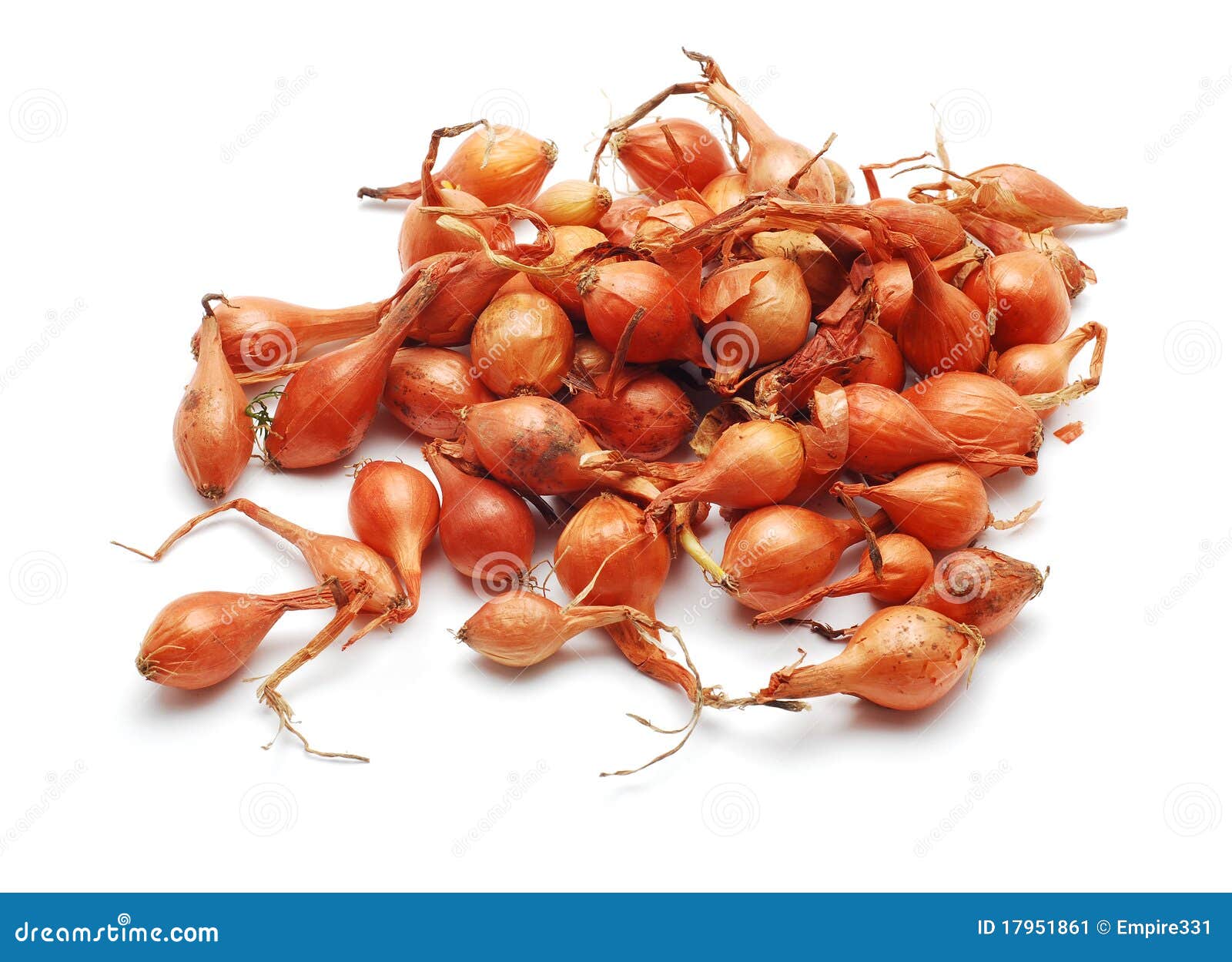 Échalote image stock. Image du légume, nourriture, nutrition - 17951861