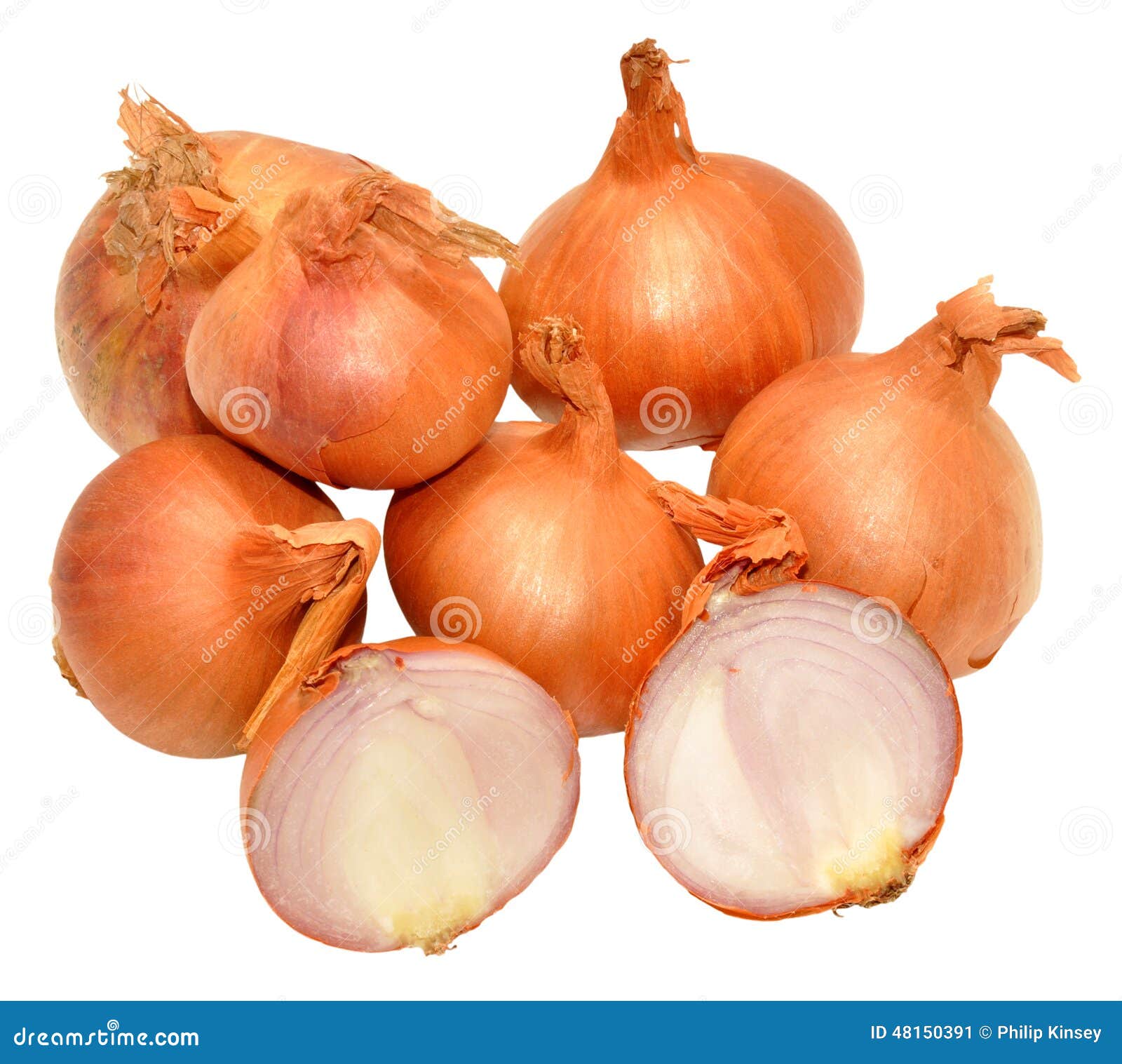 échalotes image stock. Image du blanc, légume, cultivé - 48150391