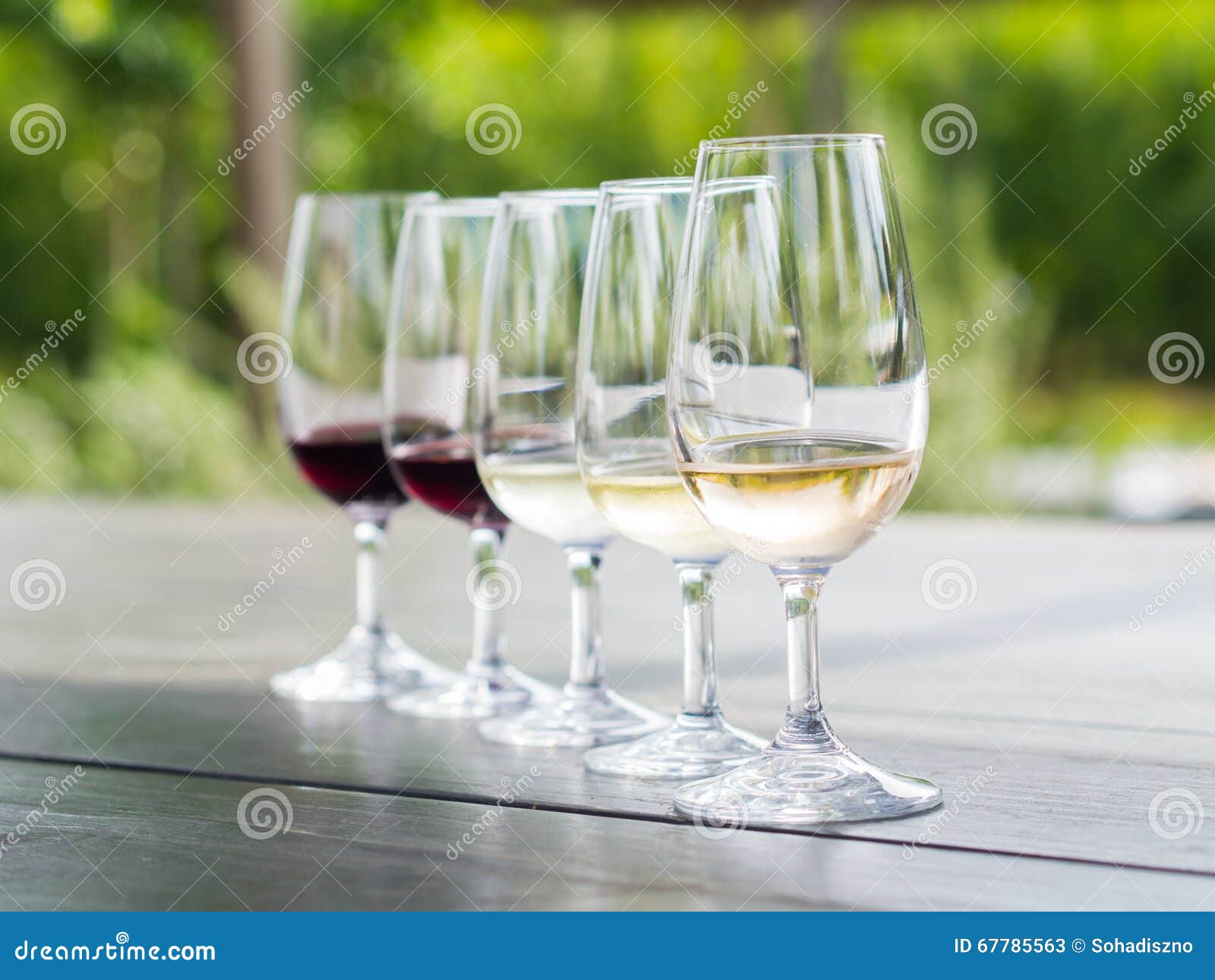 Échantillon De Vin à Stellenbosch Image stock - Image du boire ...