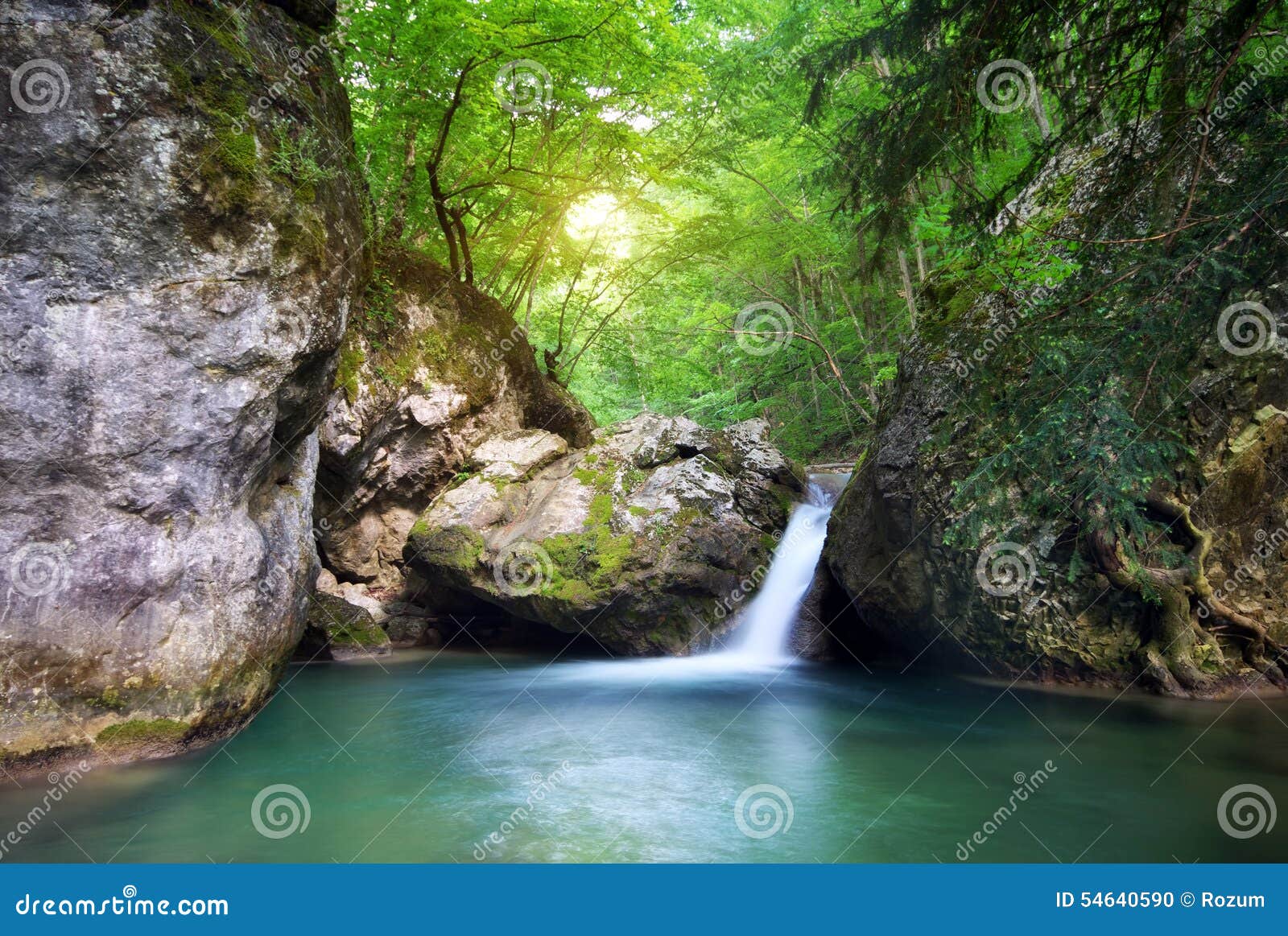 Écoulement De Ruisselet De Ressort Photo stock - Image du jungle, pluie ...