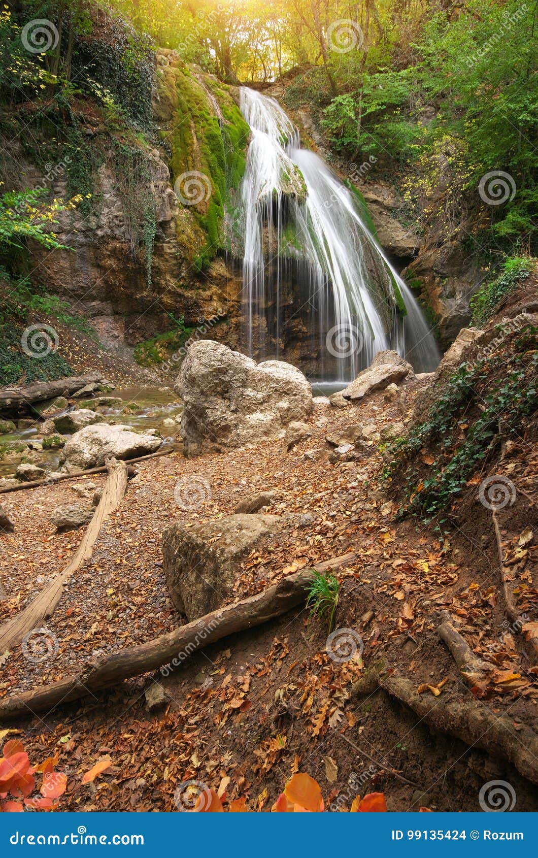 Écoulement De Ruisselet De Ressort Photo stock - Image du fond, vert ...