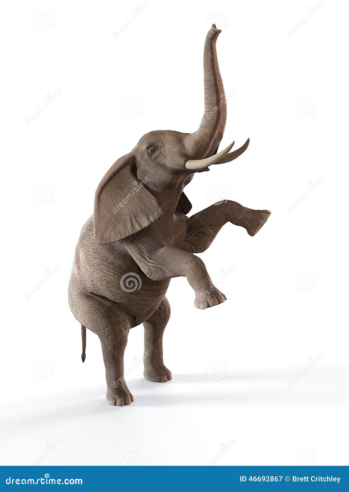 Éléphant de danse illustration stock. Illustration du ivoire - 46692867