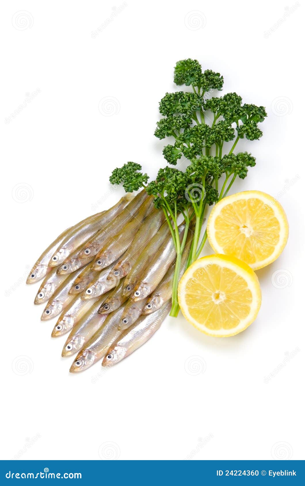 Éperlan photo stock. Image du préparé, animal, fond, organique - 24224360