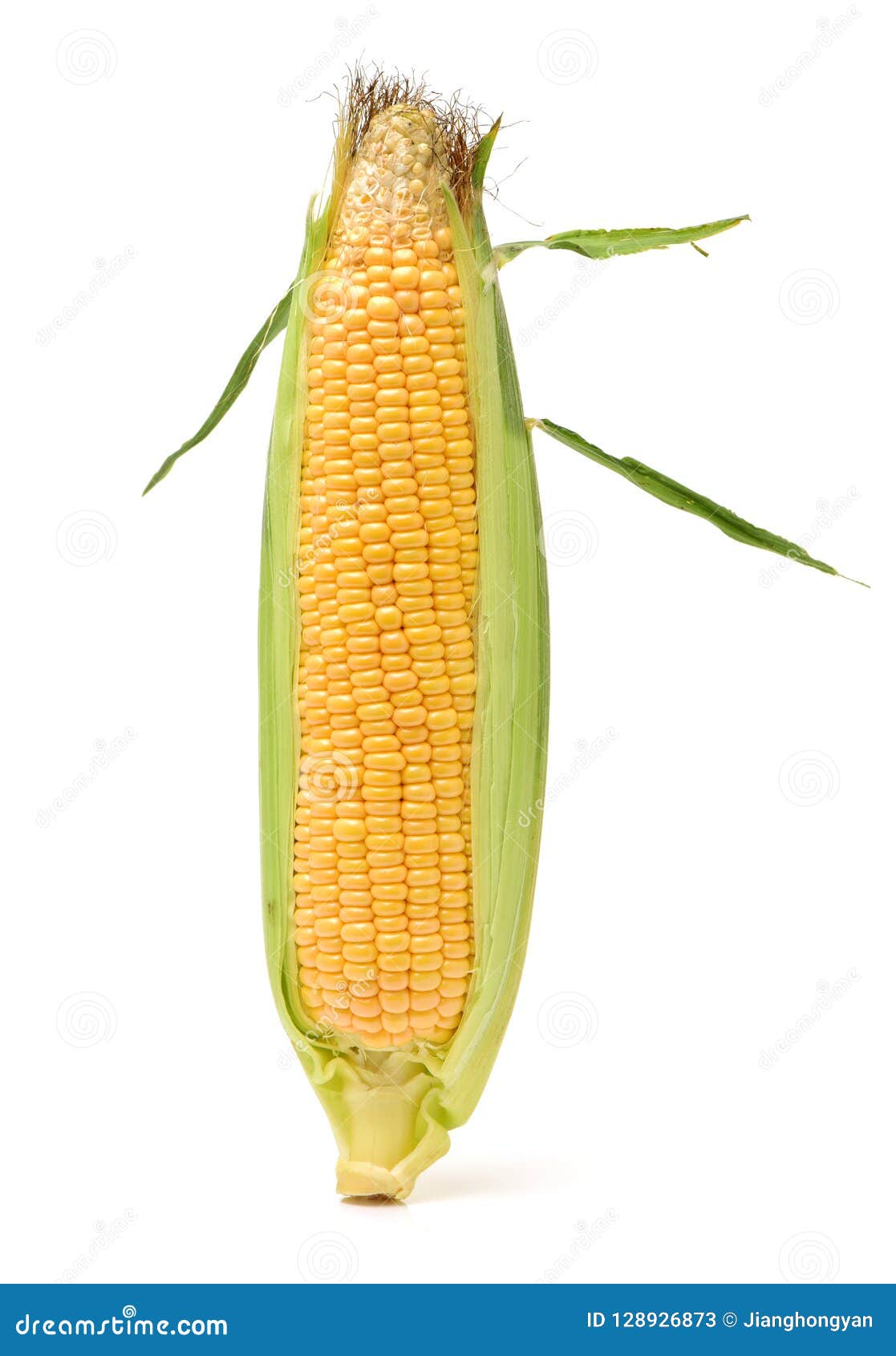 Épi de blé image stock. Image du santé, agriculture - 128926873