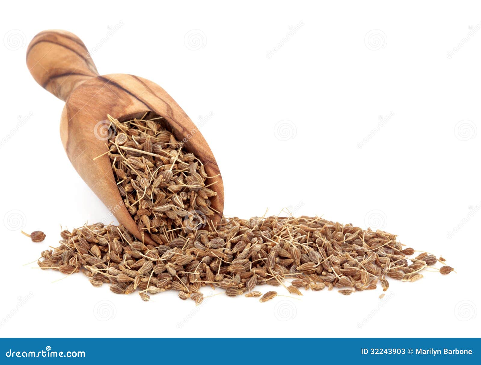 Épice d'anis image stock. Image du anis, aromatique, herbal - 32243903