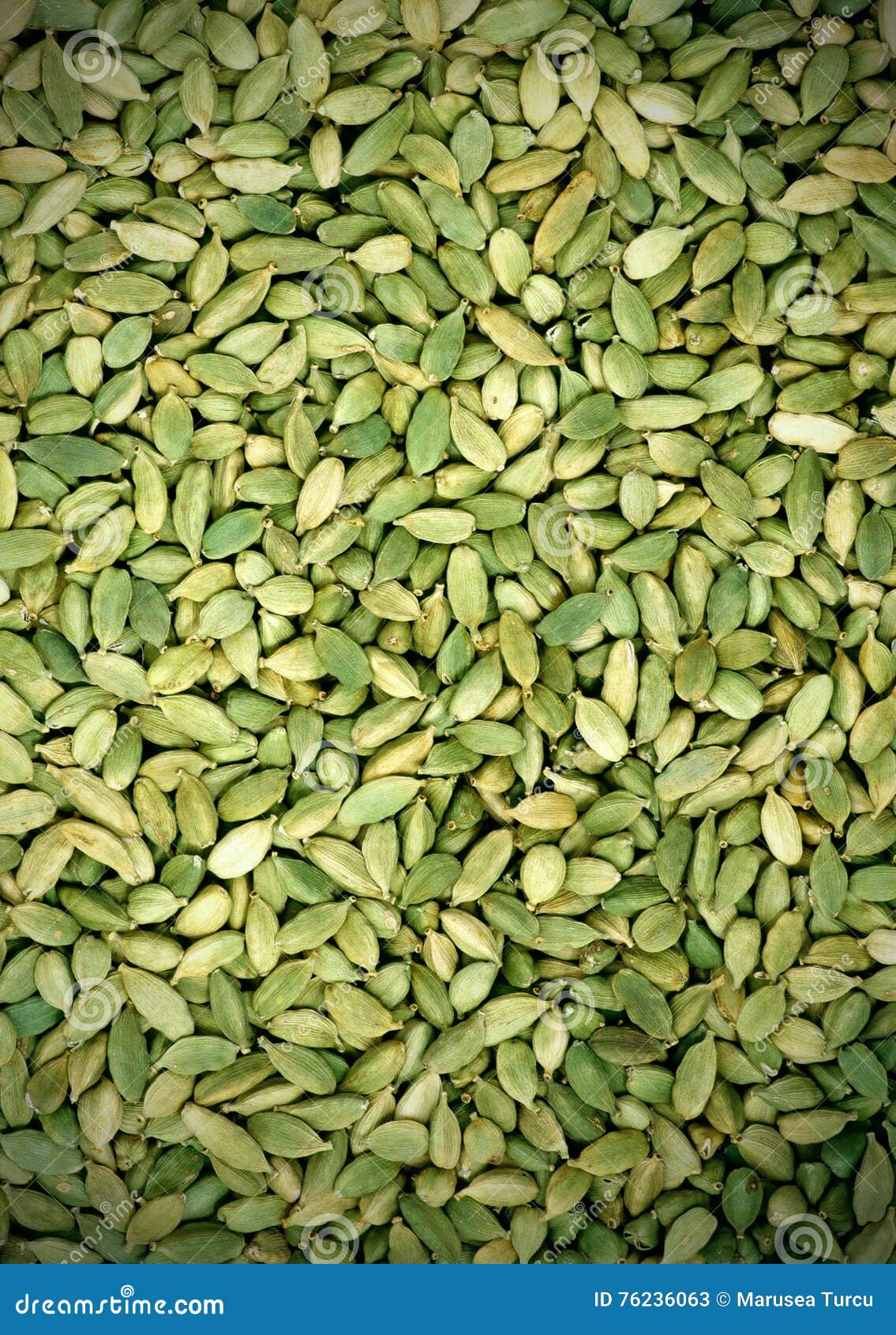 Épices vertes image stock. Image du vert, basilic, saveur - 76236063