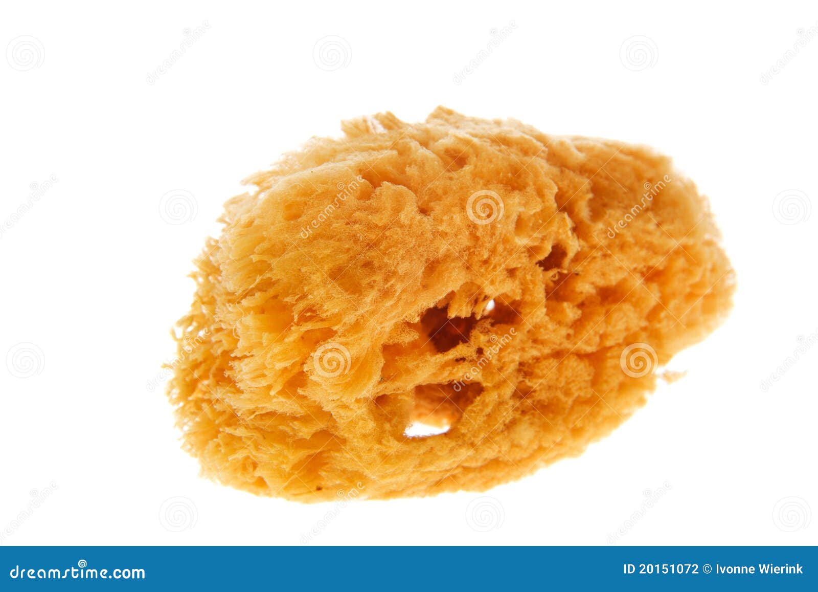 Éponge normale photo stock. Image du hygiène, éponge - 20151072