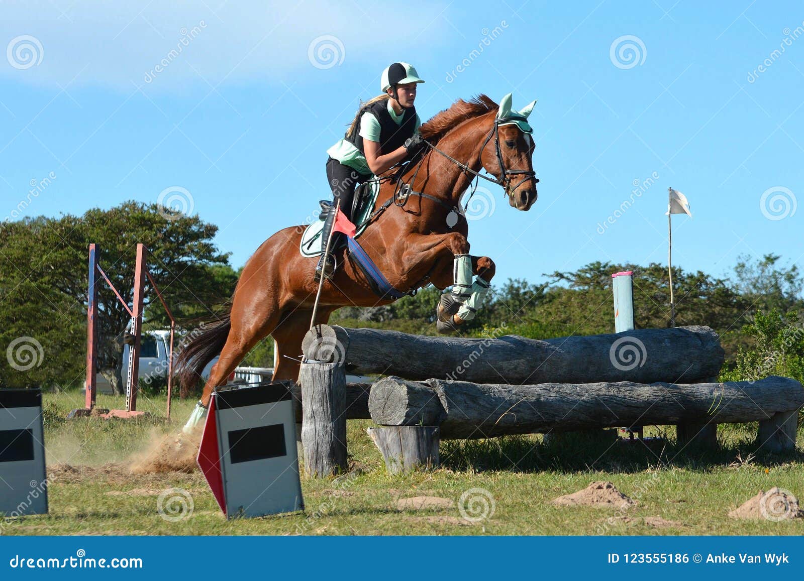 Équipe de concours complet photo stock. Image du sauts - 123555186