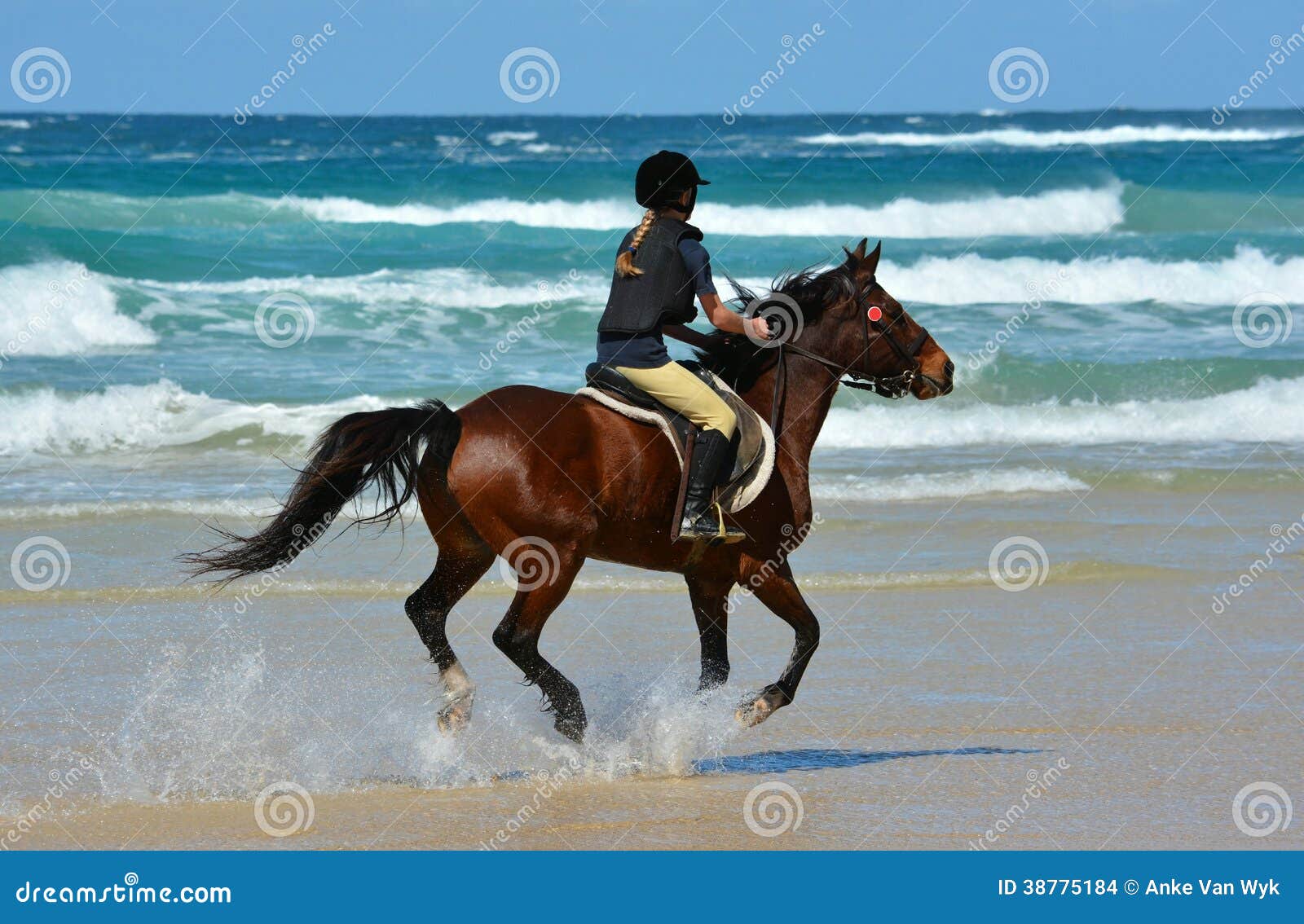 Équitation De Dos De Cheval De Cavalier Sur La Plage Photo stock ...