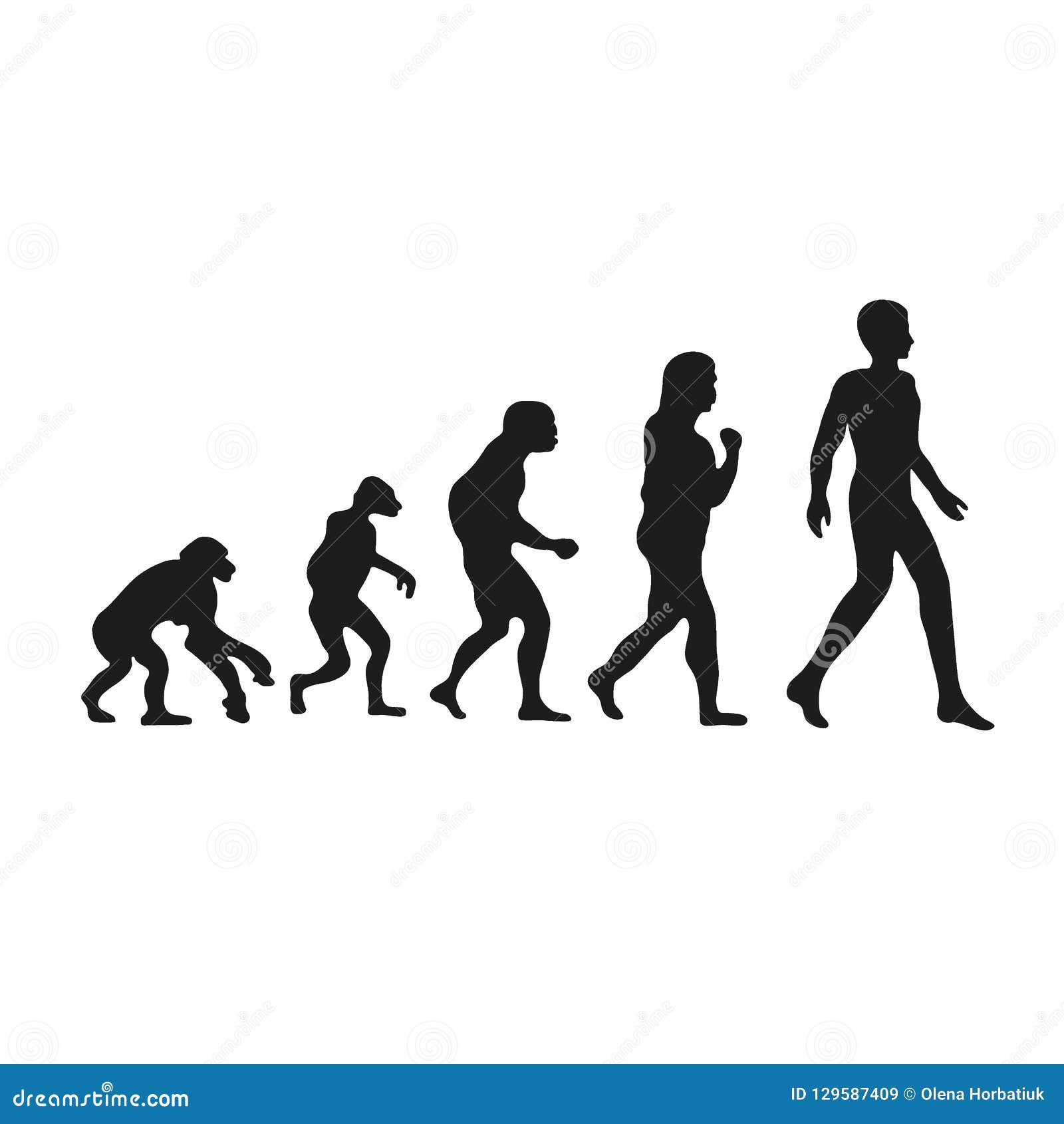 Évolution De Darwin D'humain Du Singe Aux Personnes Modernes ...