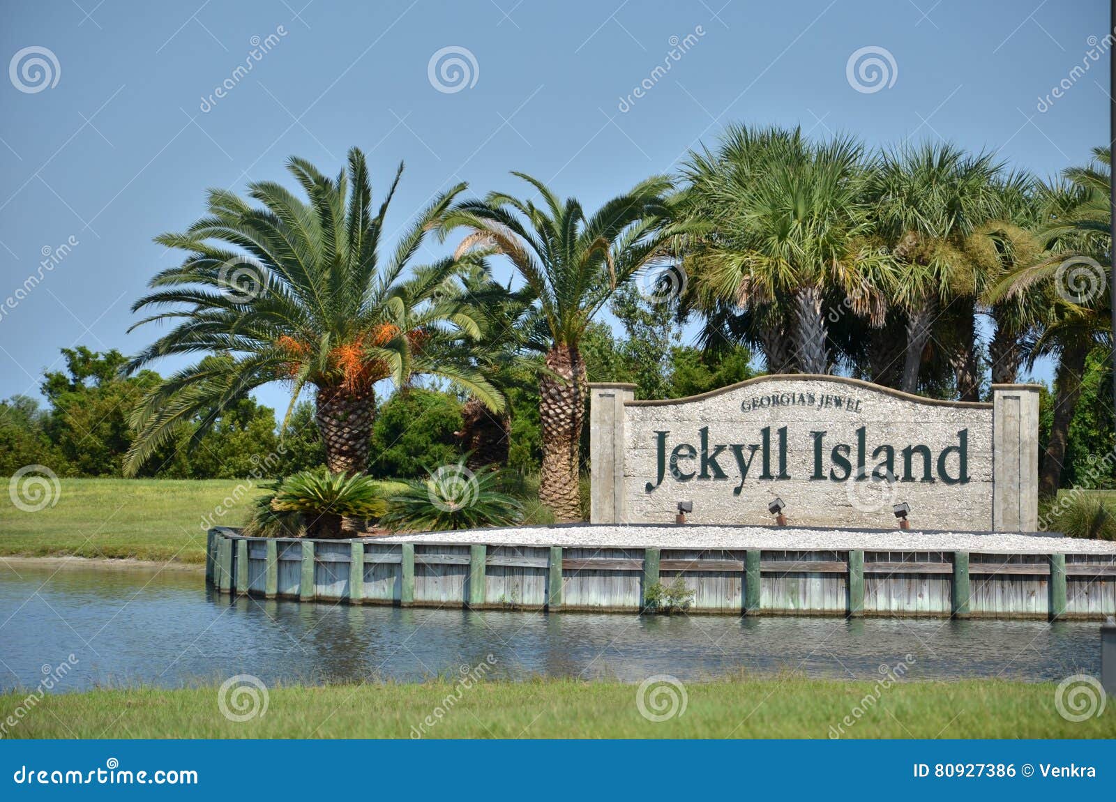 Île de Jekyll photo éditorial. Image du paume, amérique - 80927386