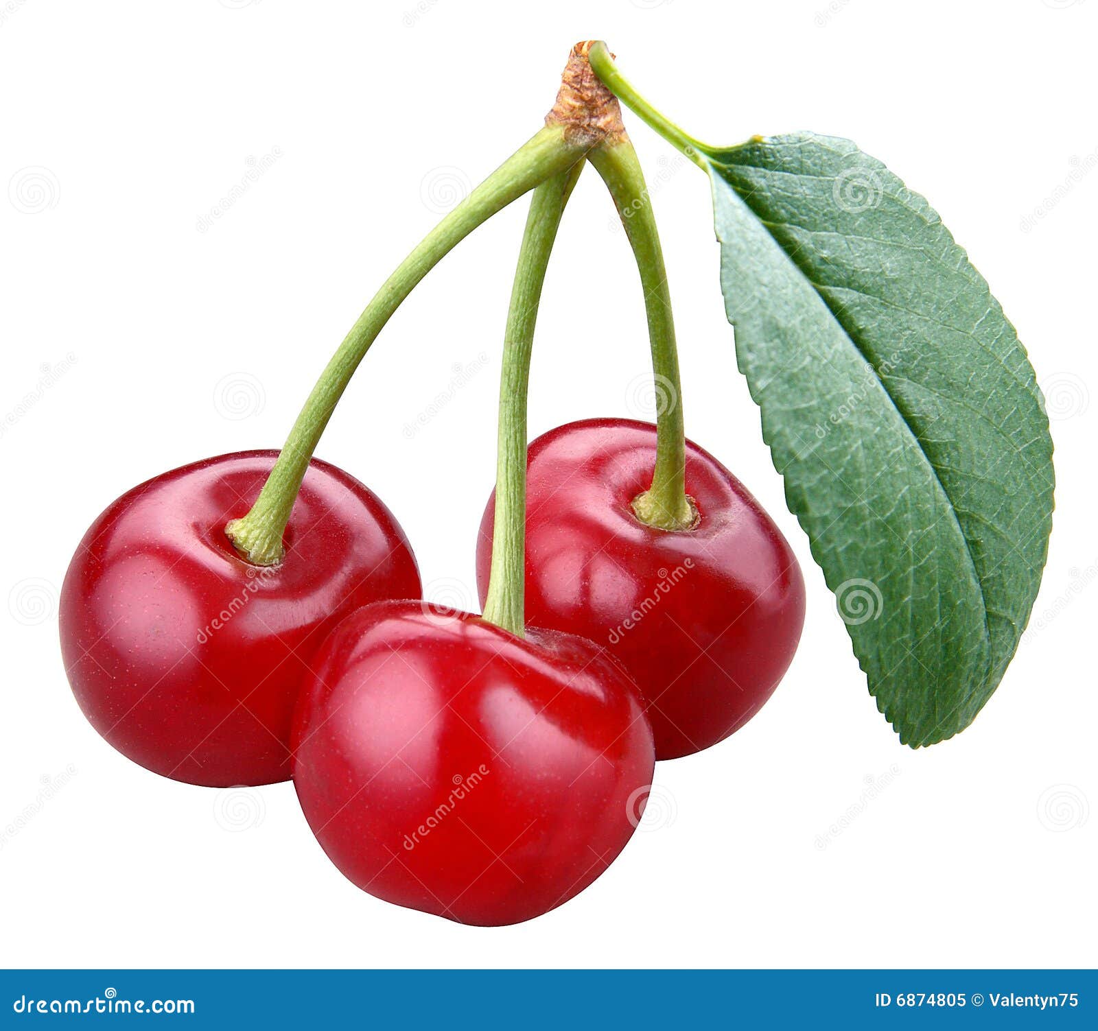 Ð¡herry stock image. Image of sour, filling, sweet, group - 6874805
