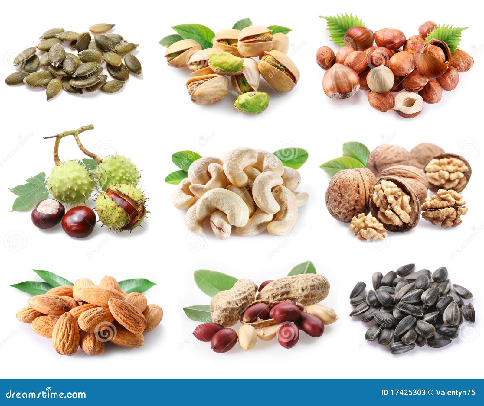 Ð¡ollection of Ripe Nuts and Seeds. Stock Image - Image of seed ...