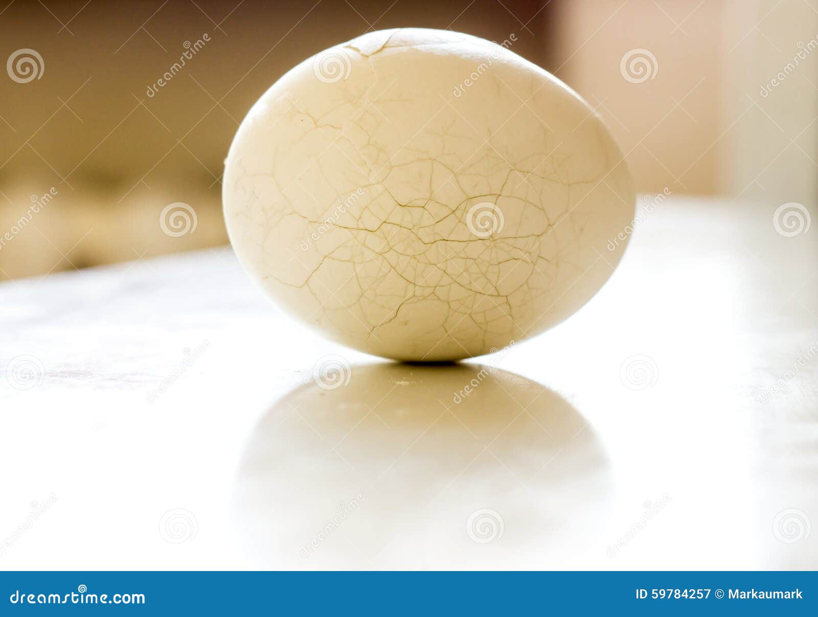 Ð¡hicken egg. stock image. Image of ellipse, single, eggshell - 59784257
