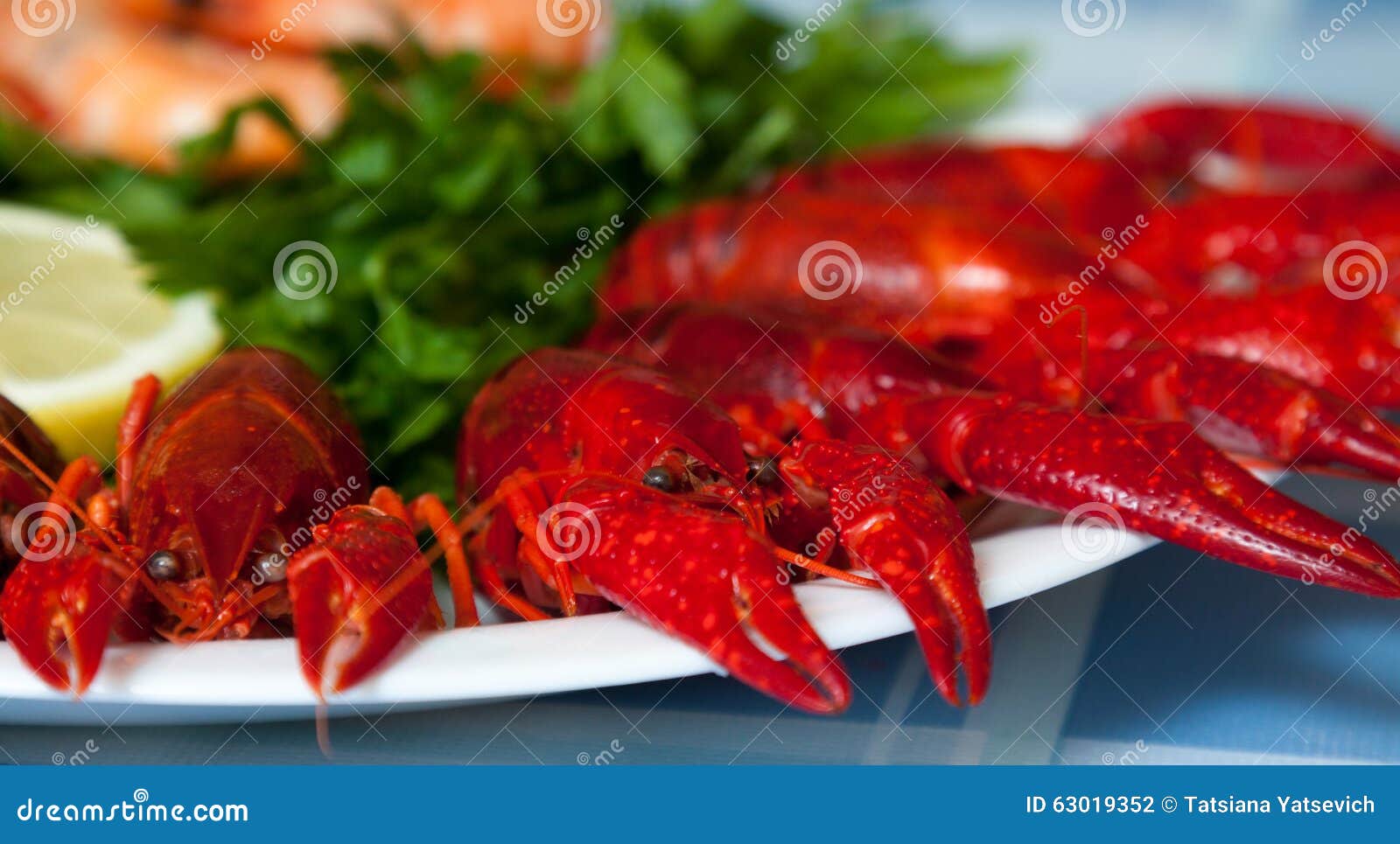 Rabs Plate Stock Photos - Free & Royalty-Free Stock Photos from Dreamstime