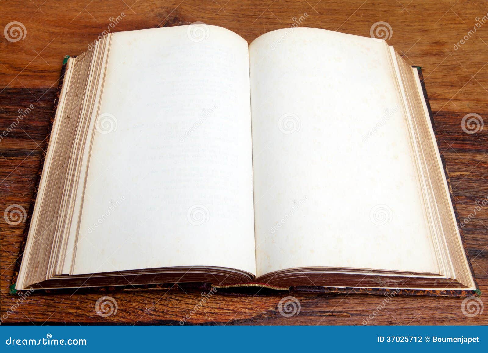 Öffnen Sie leeres Buch stockfoto. Bild von skizzenbuch - 37025712