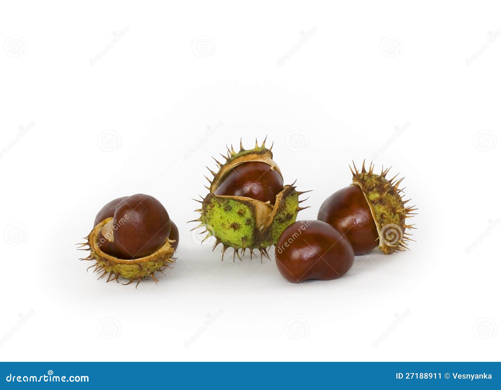 Öppna kastanjer fotografering för bildbyråer. Bild av höst - 27188911