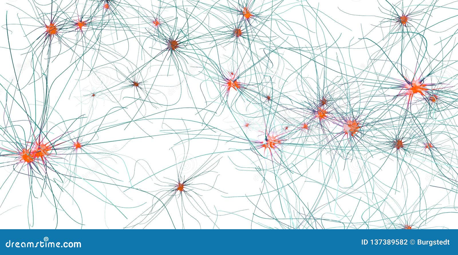 Överförande Synapse-, Neuron- Eller Nervcell Stock Illustrationer ...