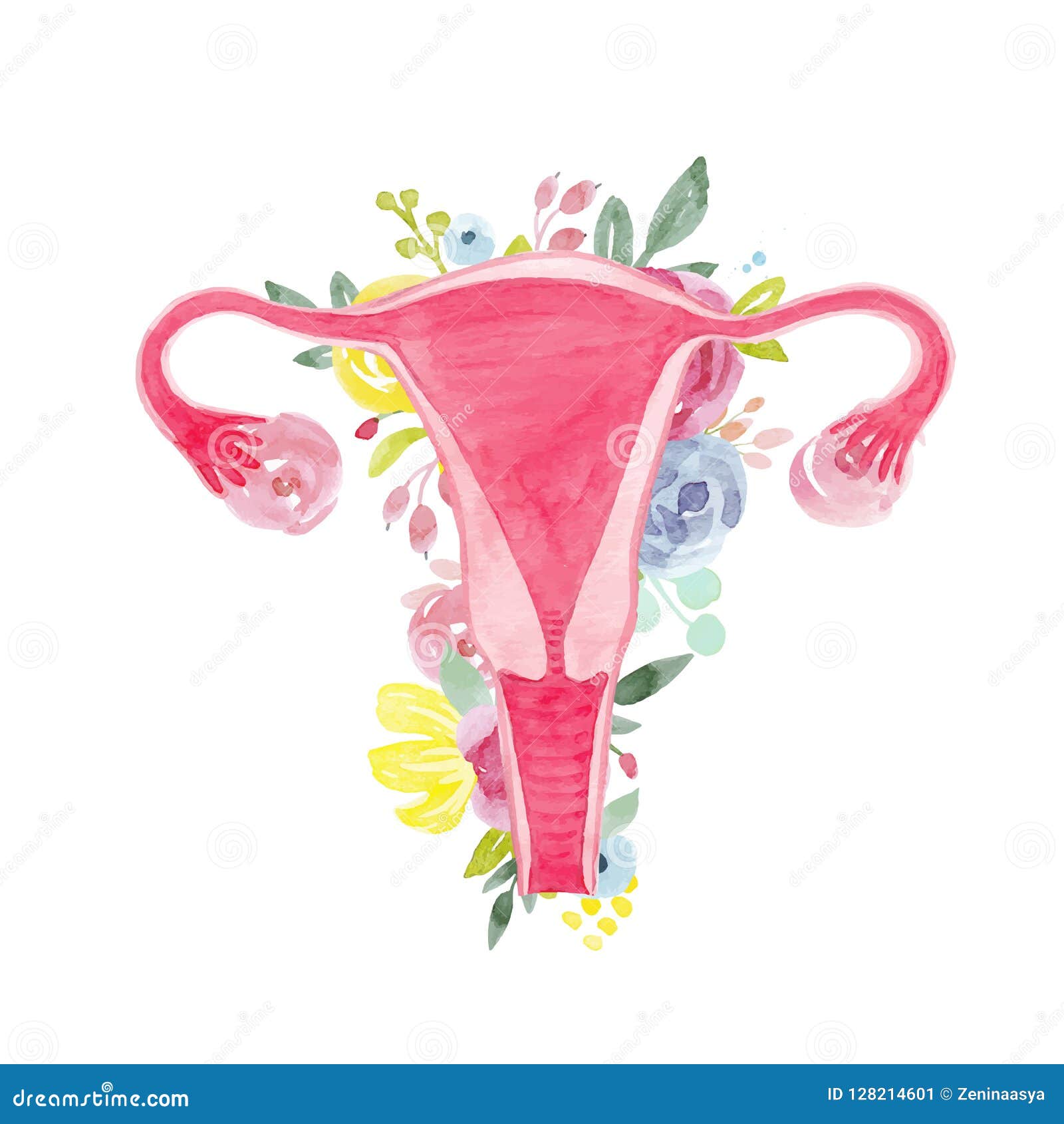 Útero De La Mujer Con El Ejemplo De Las Flores Ilustración del Vector ...