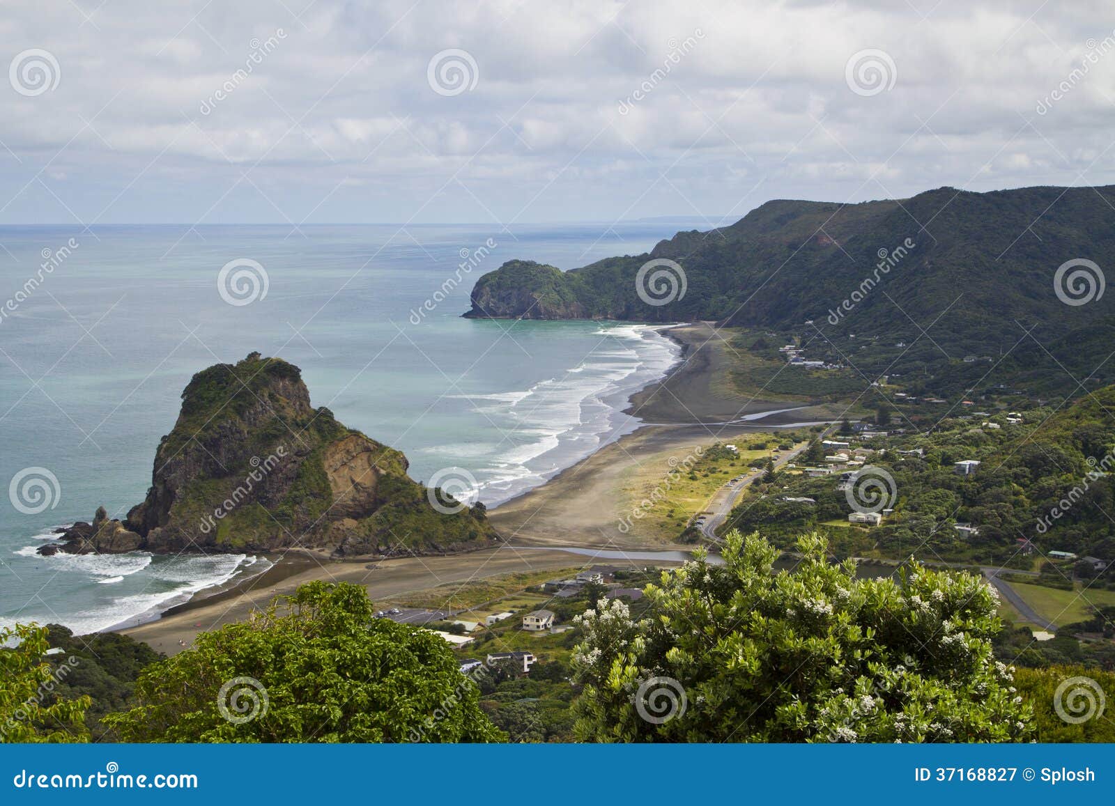 Παραλία Piha στοκ εικόνα. εικόνα από bazaars - 37168827