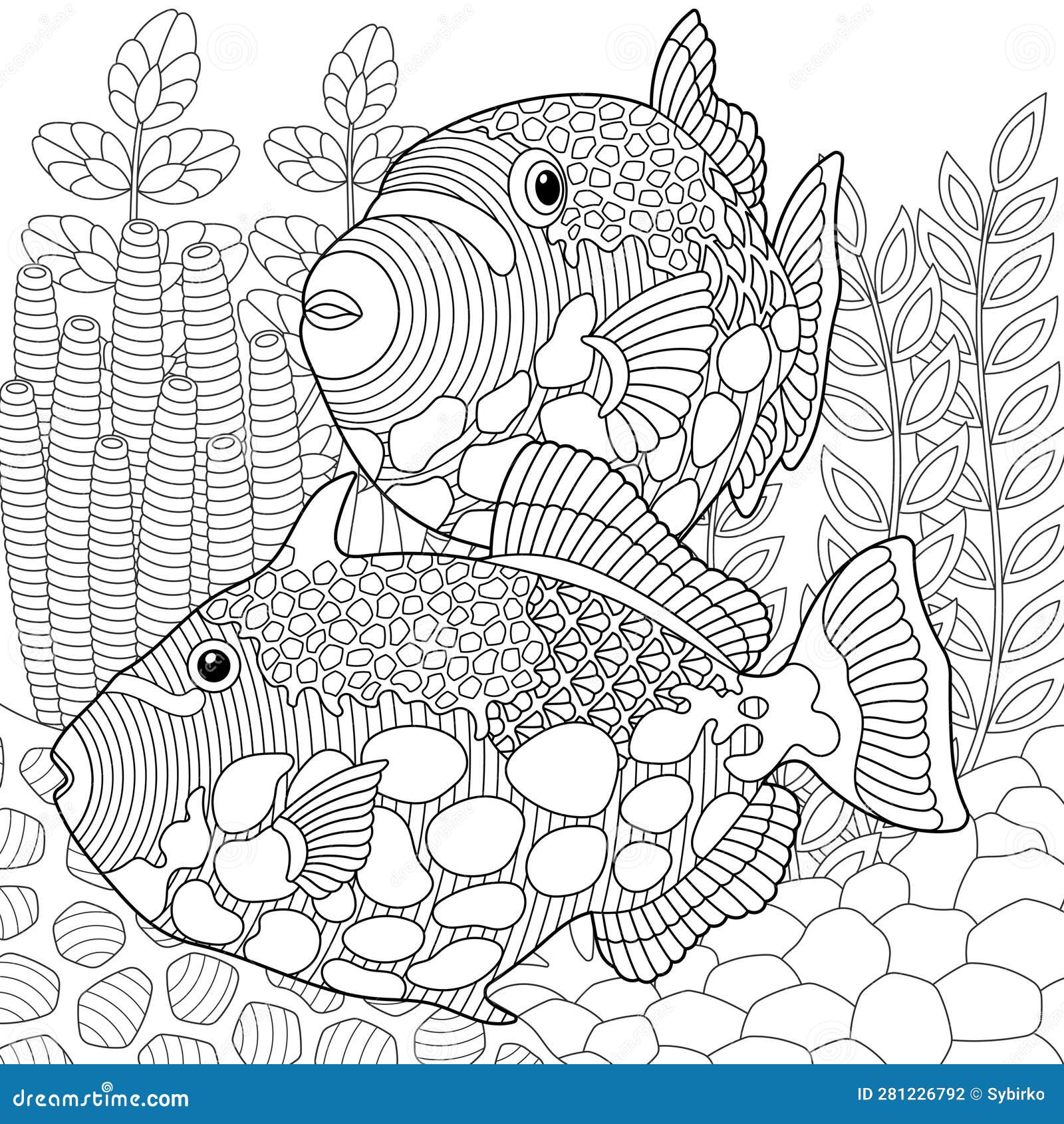 Triggerfish Adult Coloring Book Page Stock Vector - Illustration of ...