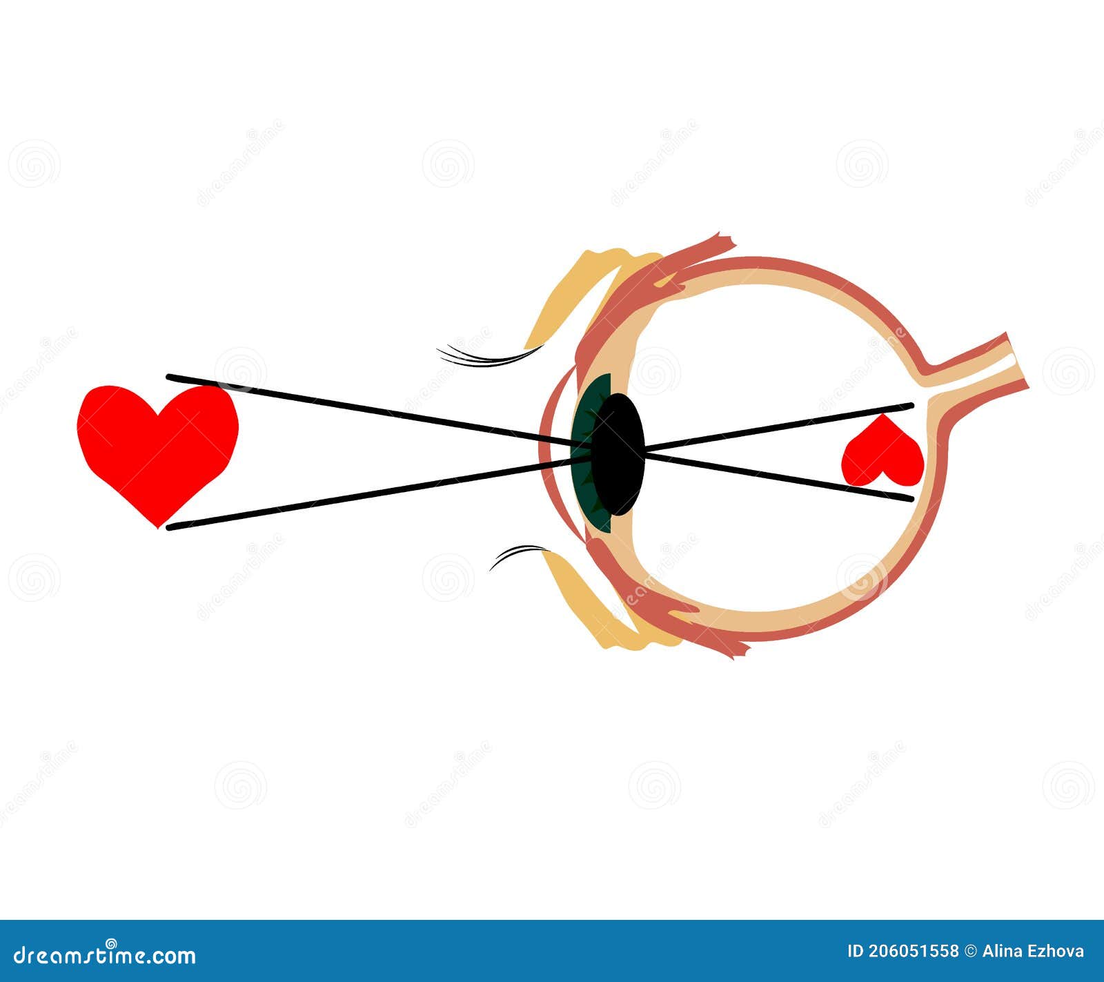 Human Eye on a White Background. Inverted Perception Stock Vector ...