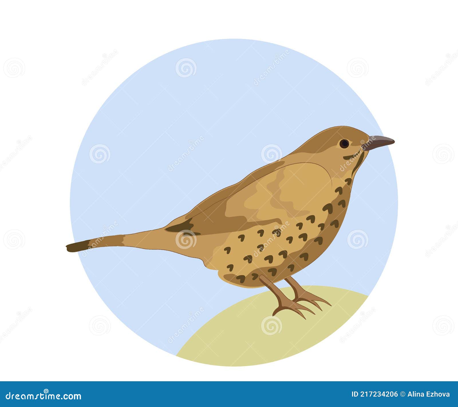 Thrush on a Blue Background Basking in the Sun. Cartoon Stock ...