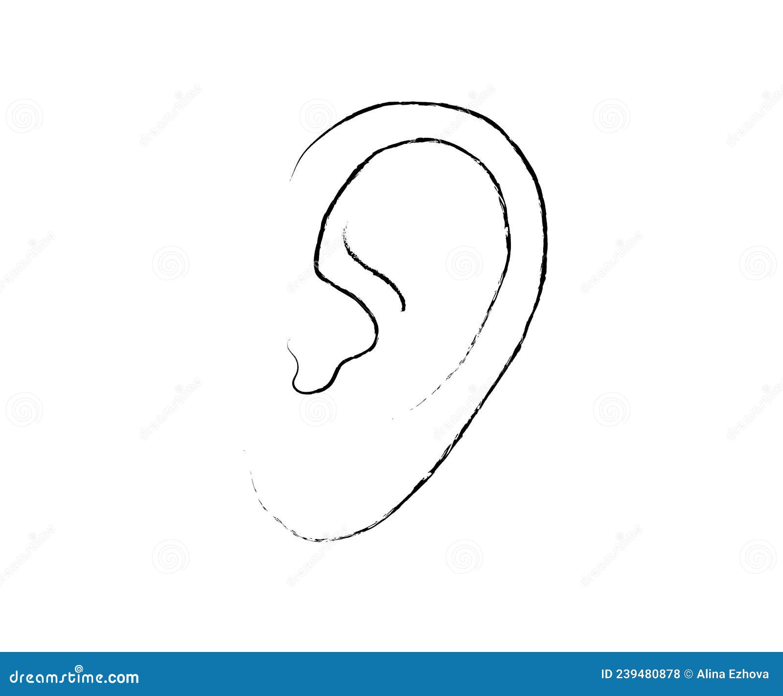 Human Ear on a White Background. Ear Symbol. Vector Illustration. Stock ...