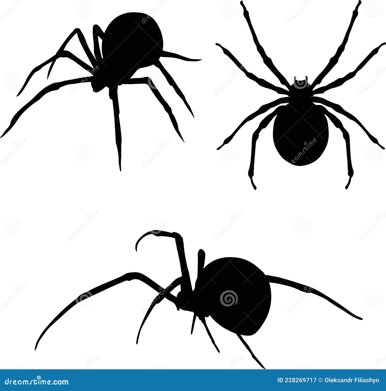 Spider outline drawing stock vector. Illustration of silhouette - 228269717
