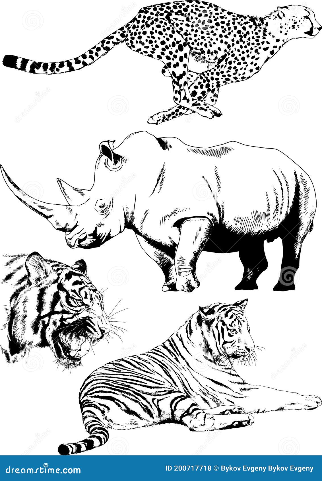 Set of Vector Drawings of Various Animals, Predators and Herbivores ...
