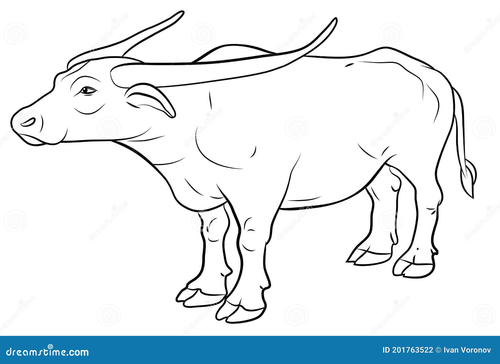 Image of a Buffalo for Coloring with Paints and Colored Pencils. Stock ...