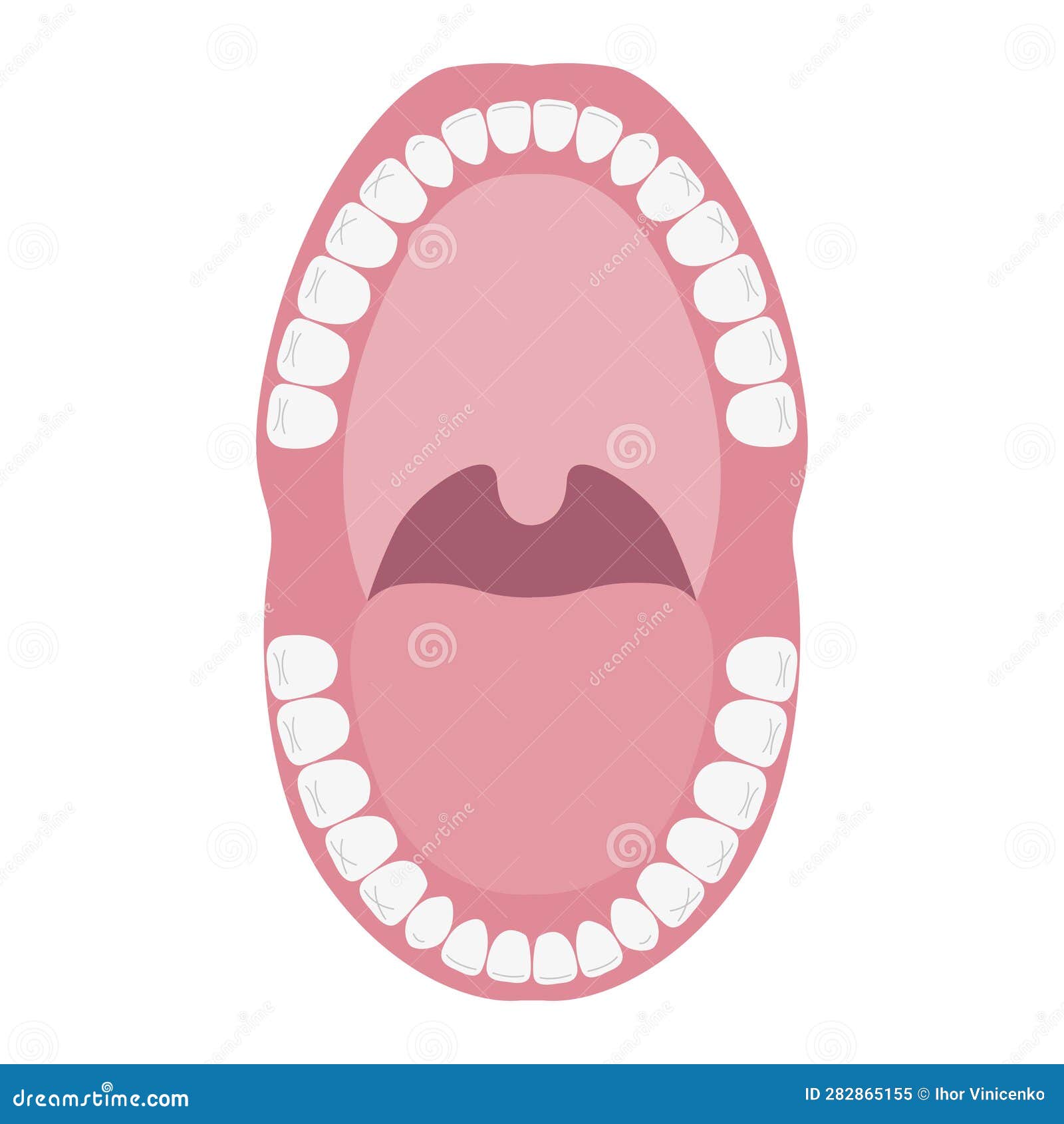 Open mouth with teeth. stock vector. Illustration of gums - 282865155
