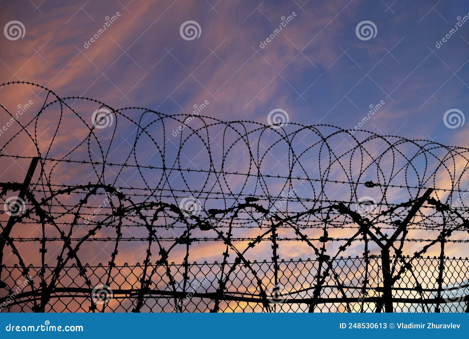 Ð¡ontour of Barbed Wire on the Background of the Sunset Orange Sky ...