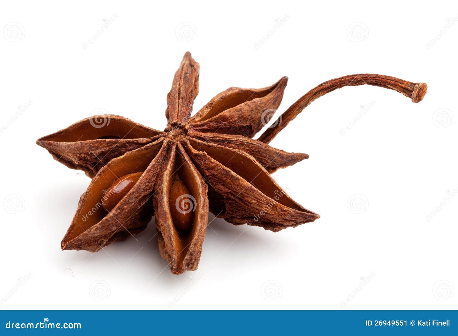 星形anice 库存图片. 图片 包括有 食物, 种子, 查出, 汉语, 关闭, 调味品, 工作室, 果子 - 26949551