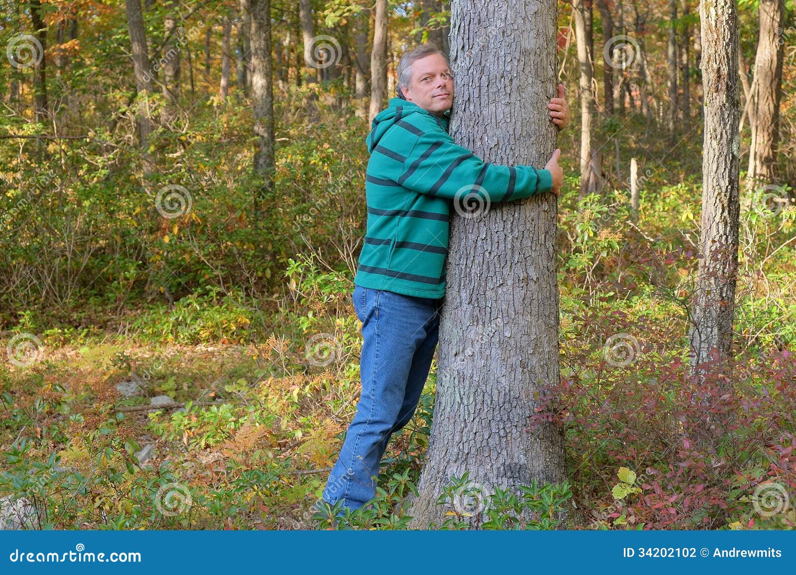 树Hugger 库存照片. 图片 包括有 拥抱, 本质, 关心, 木头, 保存, 地球, 概念, 户外, 博物学家 - 34202102