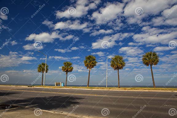 湖Tront 库存图片. 图片 包括有 路径, 结构树, 行程, 掌上型计算机, 晒裂, 绿色, 晴朗, 奥尔良 - 49272365