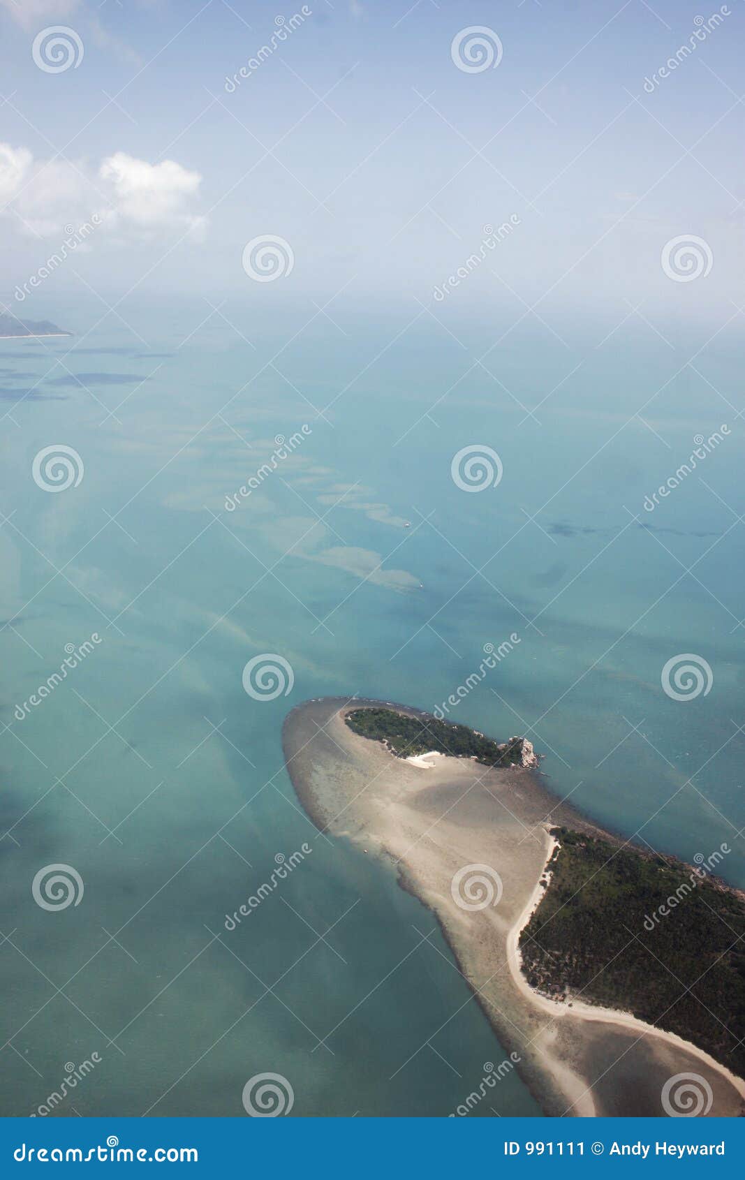 热带唾液 图片. 图片: 991111