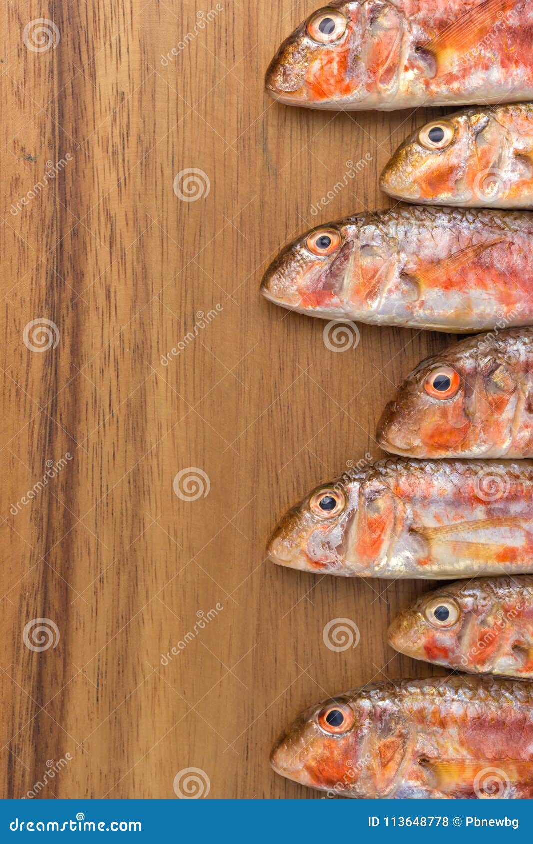 生鱼Barbun 库存照片. 图片 包括有 厨师, 几个, 眼睛, 许多, 营养, 敌意, 空白, 可口 - 113648778