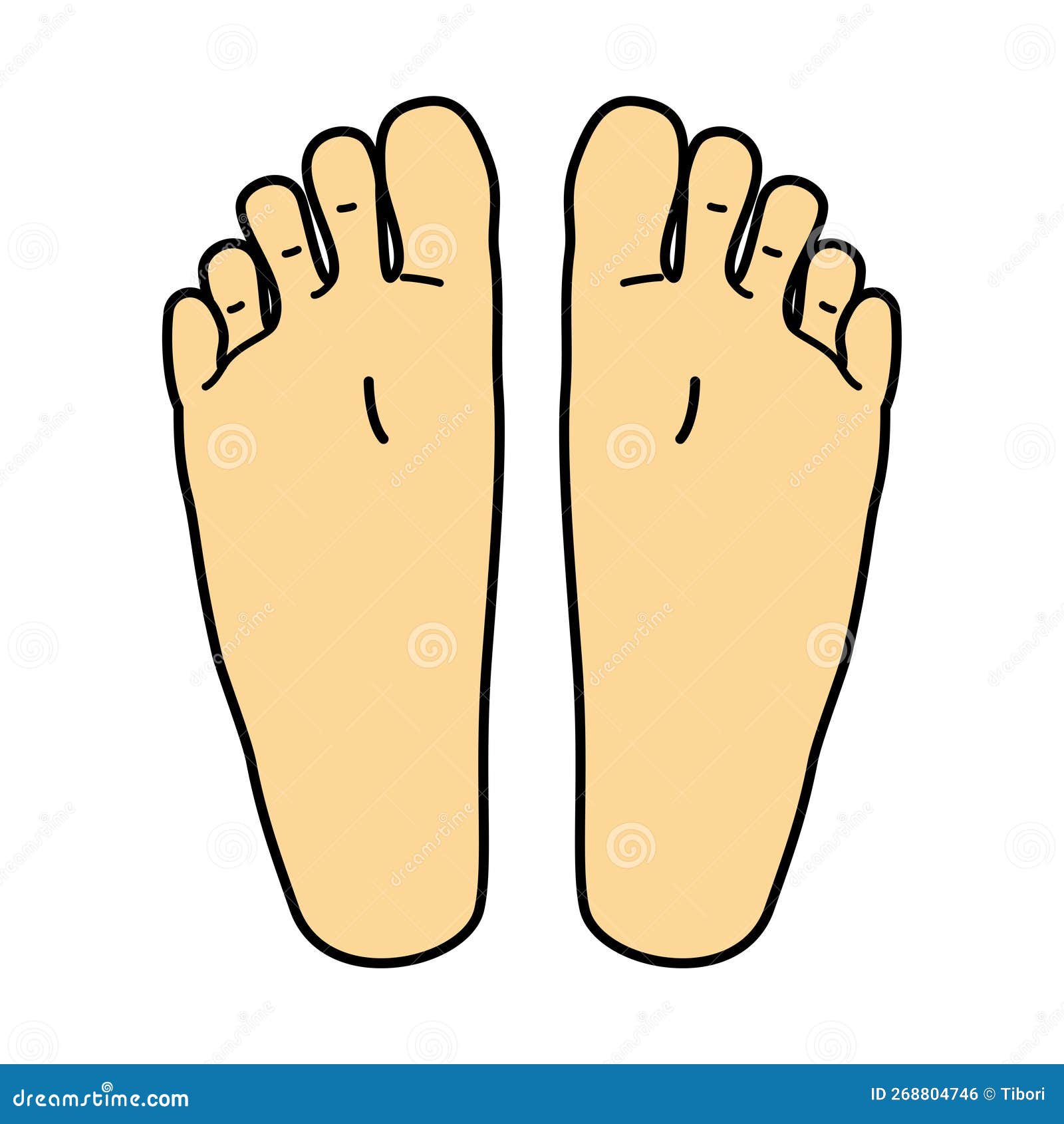 Bare Foot, Bottom of Foot, Illustration Stock Photo - Illustration of ...