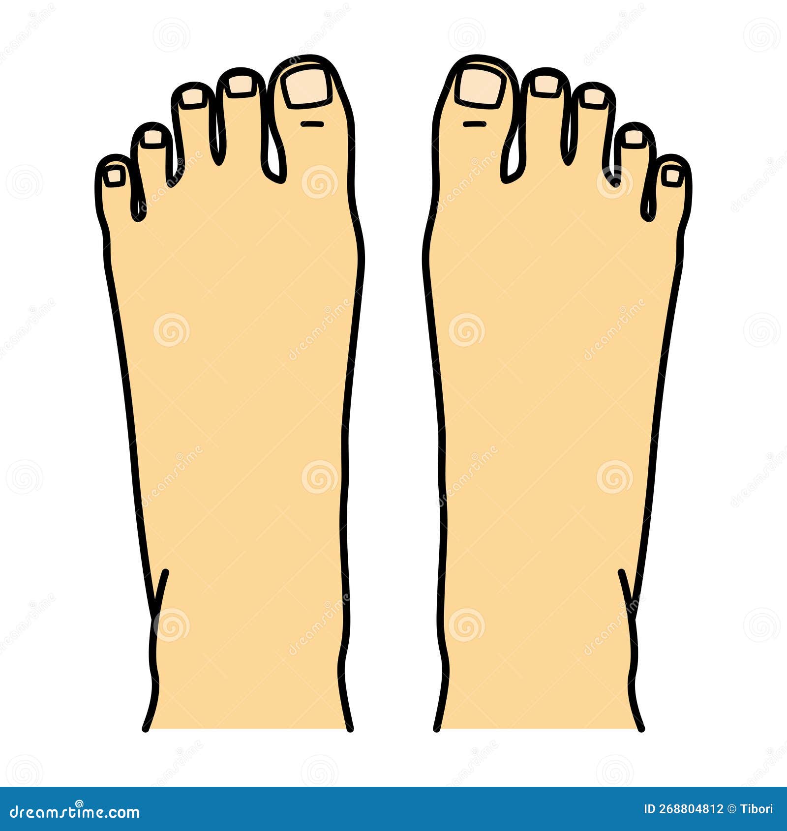 Bare Foot, Instep, Illustration Stock Photo - Illustration of drawing ...