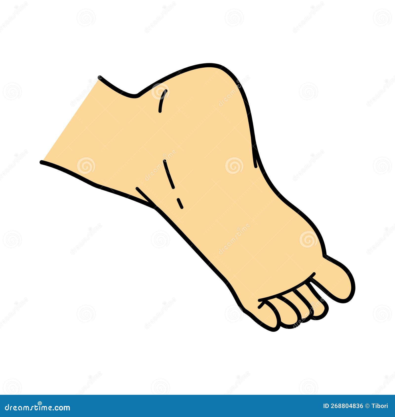 Bare Foot, Bottom of Foot, Illustration Stock Photo - Illustration of ...