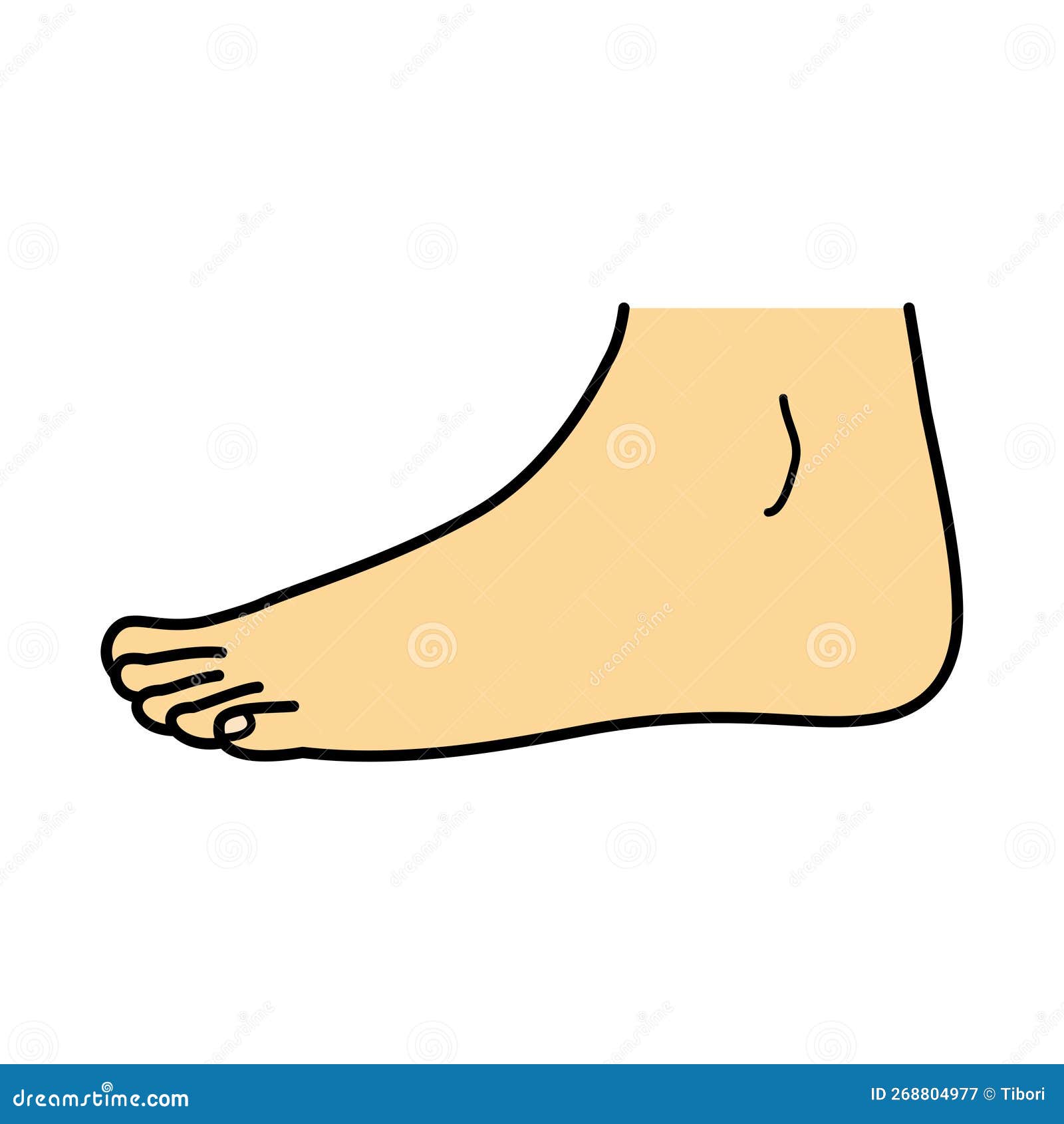 Bare Foot, Side View, Illustration Stock Image - Illustration of bare ...