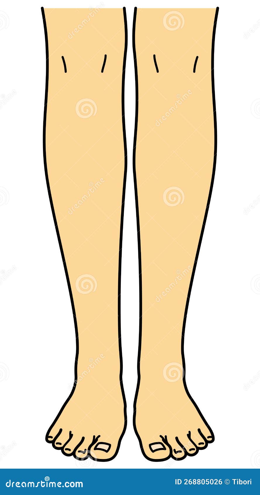 Bare Foot, Leg, Toe, Front View, Illustration Stock Vector ...