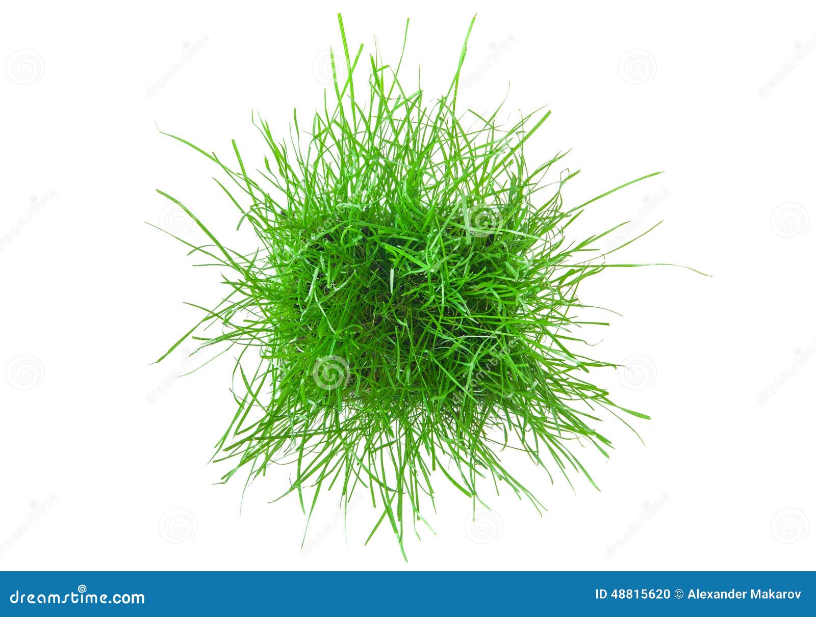 草绿色 库存照片. 图片 包括有 问题的, 有机, 从事园艺, 字段, 春天, 长方形, 工作室, 环境 - 48815620